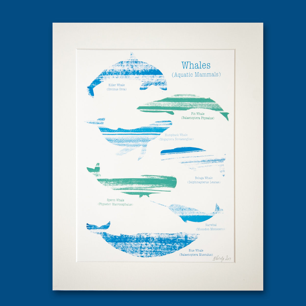 Whale Screen Print – The Owlery Prints
